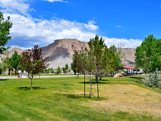 Picnic paradise or mini-golf course? With views like these, even your sandwich will feel fancy. Just watch out for those pesky hole-in-one attempts!