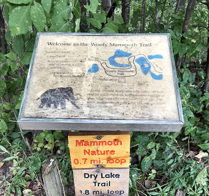 Woolly Mammoth Trail: Where prehistoric meets present day. Just don't expect to bump into any actual mammoths &ndash; they're fashionably late by about 10,000 years.