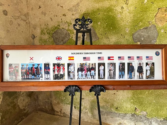 A fashion show through the centuries! From frilly collars to camo pants, this display proves that military chic never goes out of style.