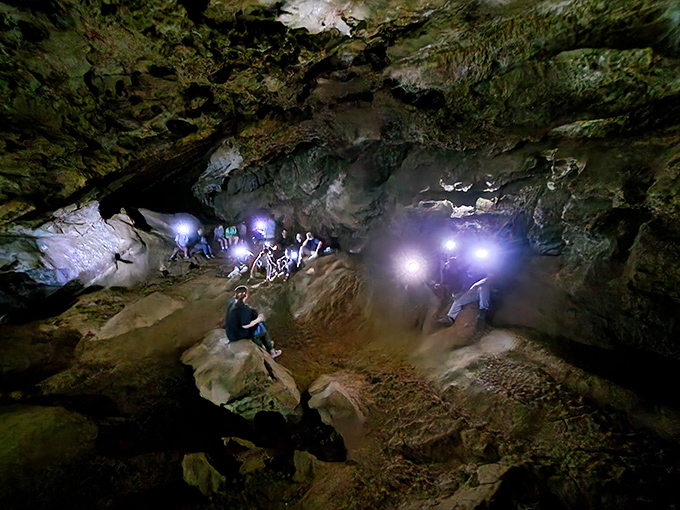 Spelunkers' delight! This chamber is like nature's own concert hall &ndash; acoustics included, rockstars not provided.