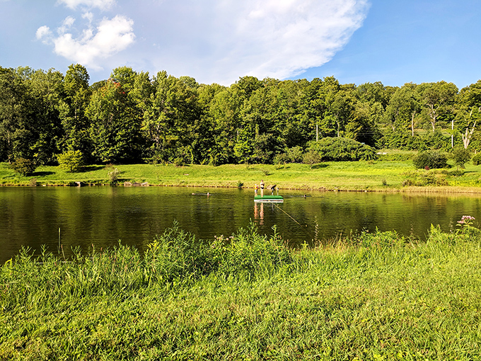 Who needs a cruise ship when you've got this? Paddle your way to tranquility on nature's own infinity pool.