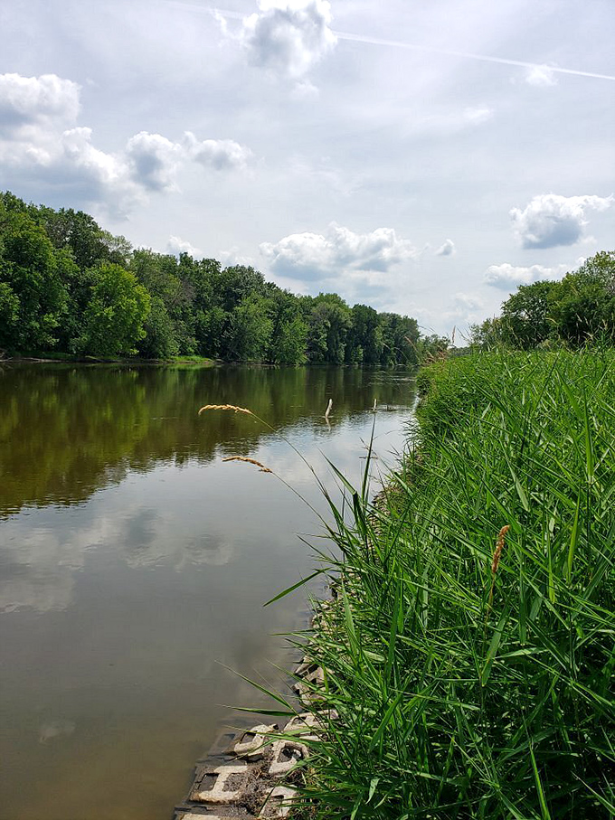 Mother Nature's Mirror: This river's so still, it's like Earth decided to take a selfie. #NoFilter needed here!