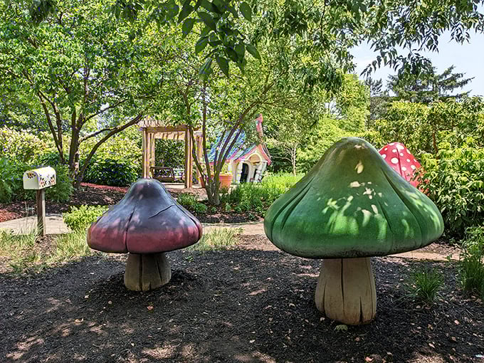 "Alice would feel right at home here! These oversized mushrooms are serving up a hefty dose of whimsy with a side of wonder."
