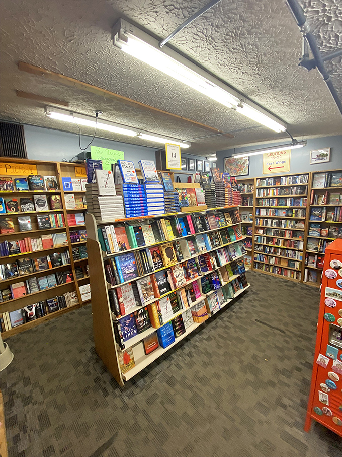 Fresh off the press! This corner is where book lovers come to stay ahead of the literary curve.
