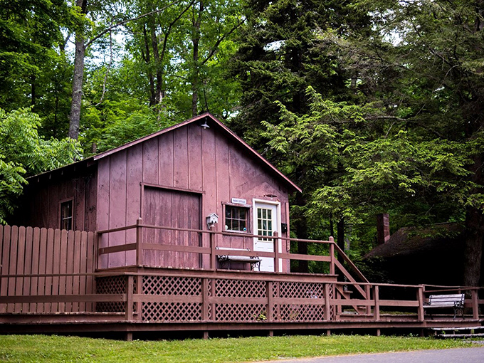 Is it a cozy cabin or park HQ? Either way, this charming building has 'rustic retreat' written all over it.