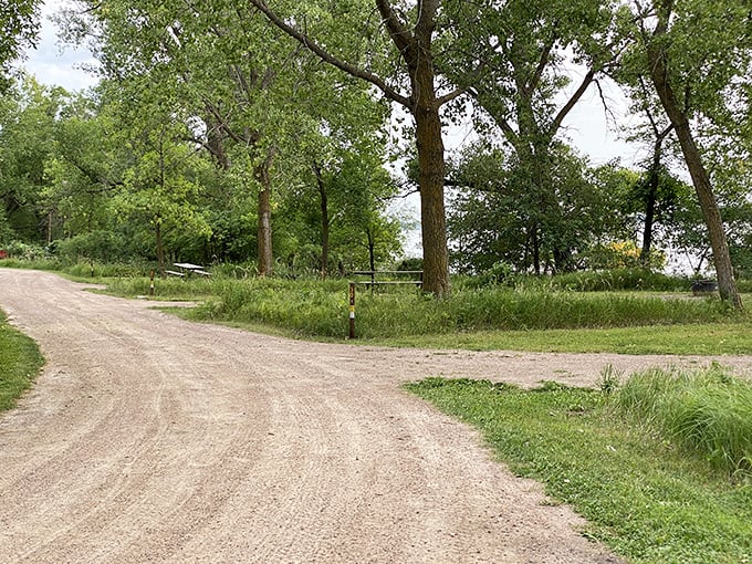 The road less traveled... because it's actually a path in a state park. This winding trail is nature's way of saying, "Slow down and enjoy the view, city slicker!"
