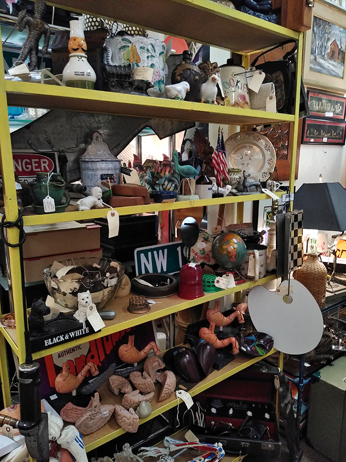 Shelf life redefined! This bookcase is a time capsule of literary treasures and quirky collectibles. Spot any first editions?