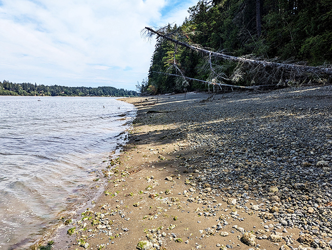 Beach day, PNW style: Trade your sunscreen for a cozy sweater and enjoy nature's rocky shoreline masterpiece.