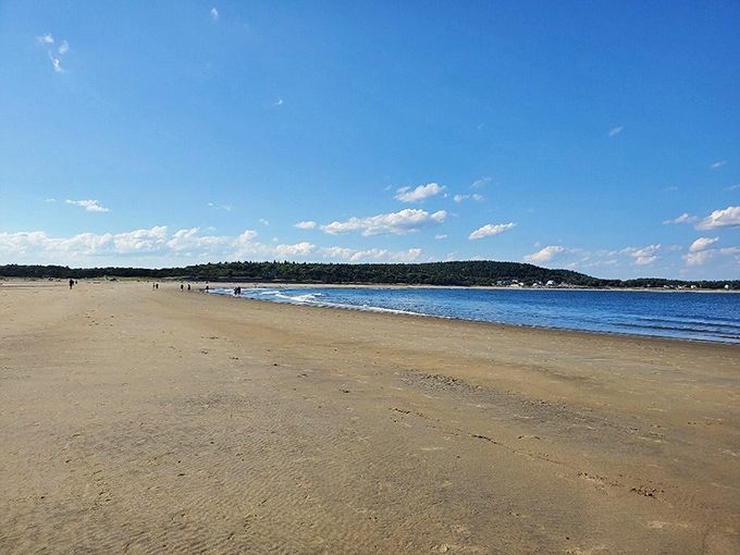 Popham's panorama: where the ocean plays hide-and-seek with the horizon. This view could make even the most dedicated couch potato lace up their hiking boots.