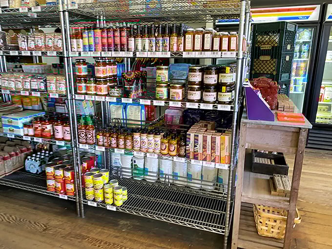 Spice up your life! This colorful array of condiments and sauces could turn even the blandest meal into a flavor fiesta.