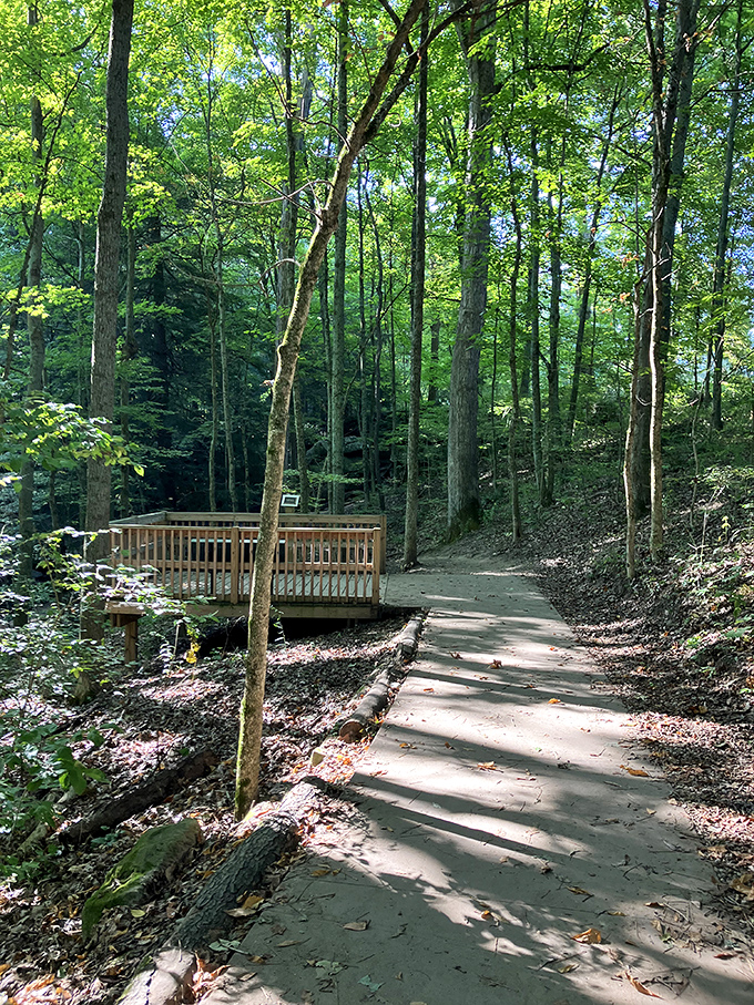 Follow the yellow brick... er, wooden road. This trail promises adventure without any wicked witches or flying monkeys.