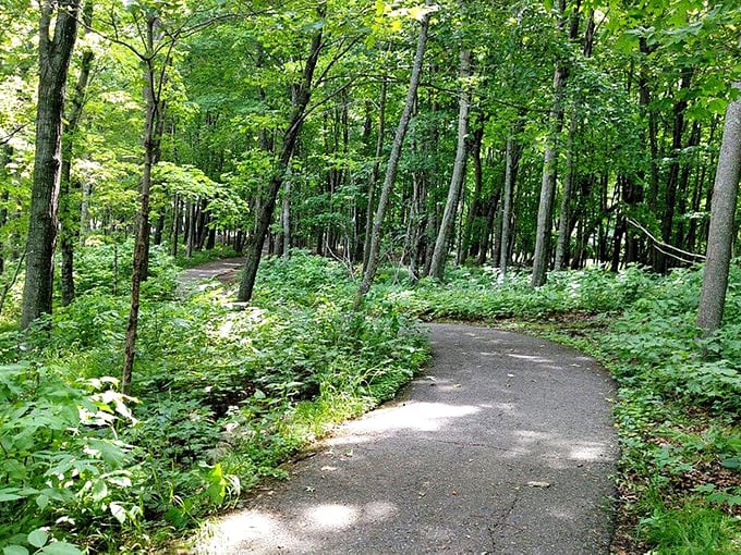 Forest bathing, Minnesota-style! This trail winds through a green cathedral, offering a spiritual experience without the need for incense or chanting.