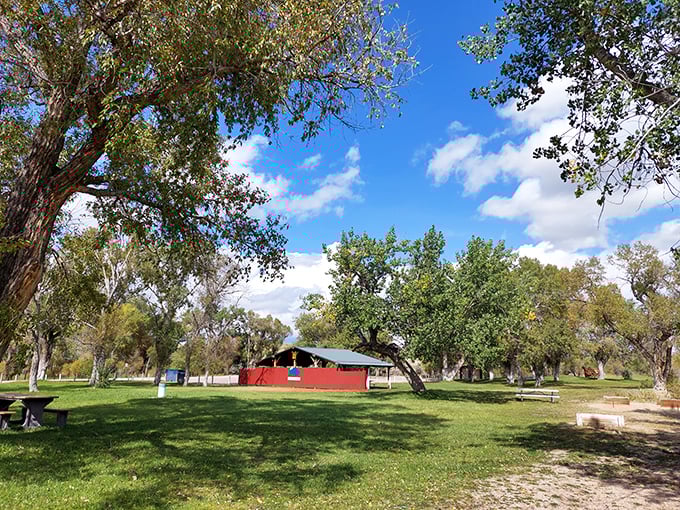 "Tree-mendous views! This leafy canopy is nature's version of a five-star resort &ndash; complete with complimentary bird serenades."