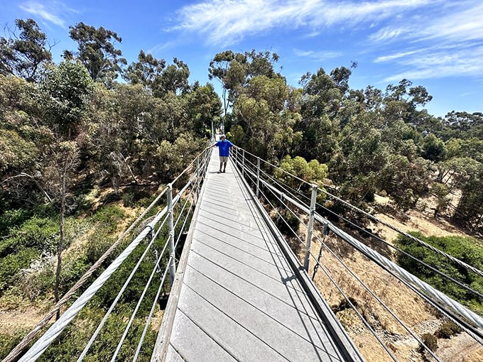 Blue skies, green trees, and a dash of adrenaline &ndash; San Diego's recipe for the perfect outdoor excursion.