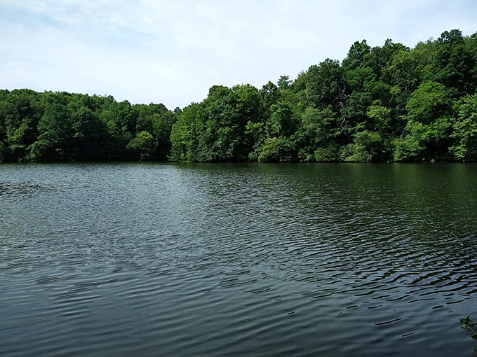 Tranquility, served lakeside! Barkcamp's waters invite you to dive into relaxation, whether you're casting a line or just casting away your cares.