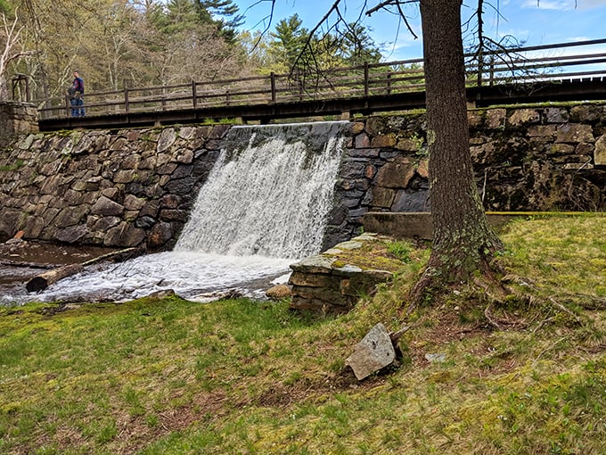 Nature's own water feature! This cascading beauty puts those fancy mall fountains to shame. No coins required for wishes here.