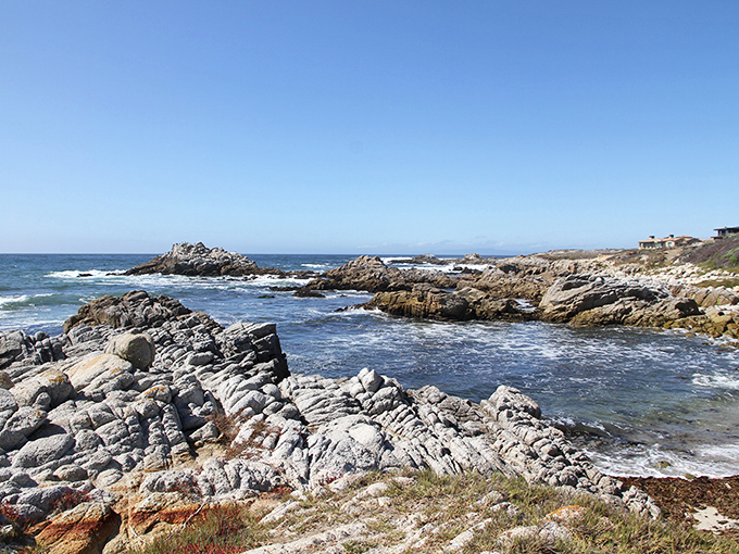 Asilomar's rocky shore: Where waves compose a salty symphony. Nature's own spa treatment, complete with complimentary exfoliation!