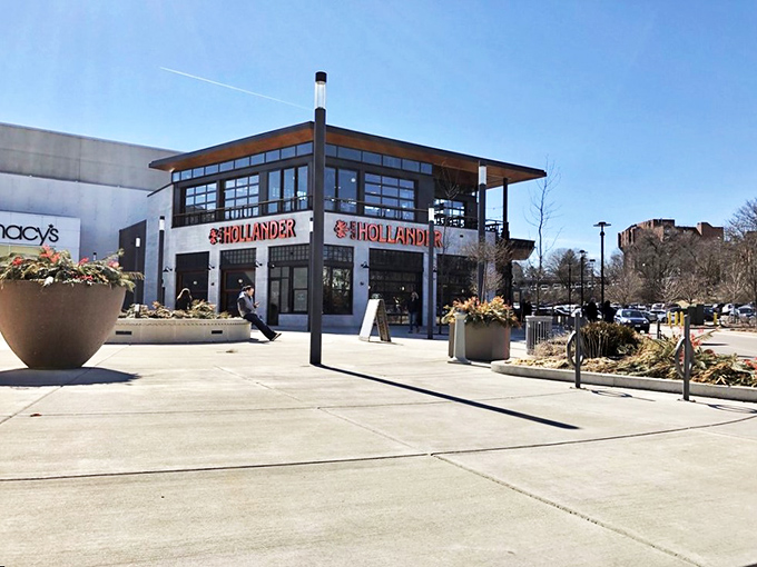 Cafe Hollander: Amsterdam's cozy cousin twice removed. Come for the beer, stay for the gezelligheid (that's Dutch for good times).