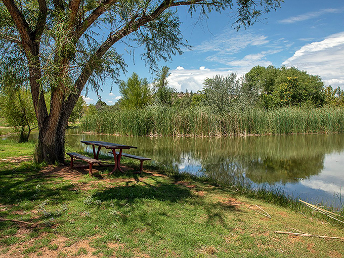 A peaceful picnic spot at Dead Horse Ranch. It's the perfect place to contemplate life's big questions, like "Why isn't a pickle called a pickled cucumber?"