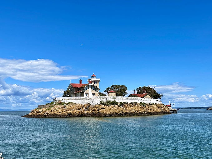 "East Brother: The overachiever of lighthouses. Not content with just guiding ships, it's now a cozy B&B too."