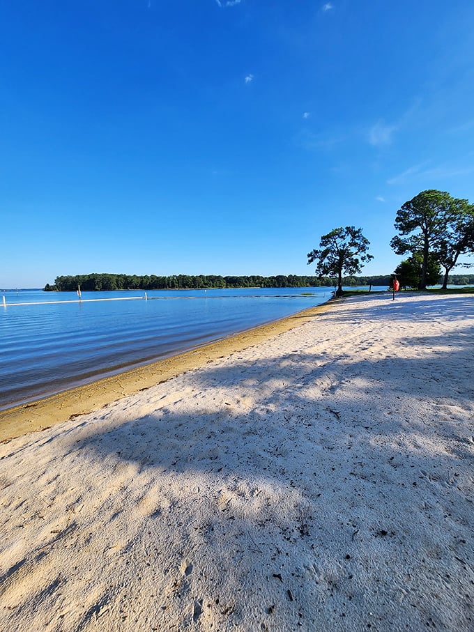 George T. Bagby State Park: Where the beach is so nice, you'll think you've stumbled into a parallel universe where Georgia has a coastline.
