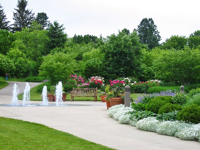 Klehm Arboretum: Where trees have better pedigrees than Westminster show dogs. A botanical beauty pageant in Rockford.