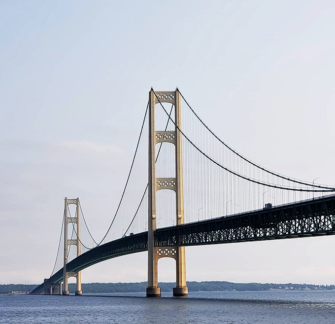Engineering marvel meets natural splendor. The Mackinac Bridge stretches across the straits like a steel ribbon tying two peninsulas together.