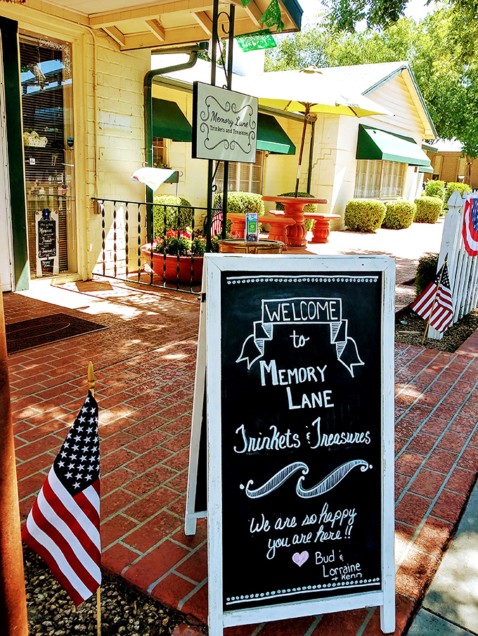 Memory Lane: Where nostalgia comes to life in technicolor. It's like walking into your favorite childhood memory!