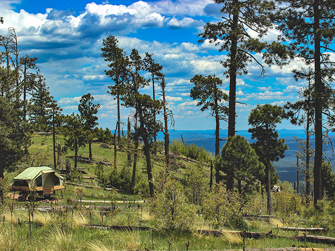 Mogollon Rim: 200 miles of "wow" carved into Arizona's midsection. It's like the state got an epic geological makeover.