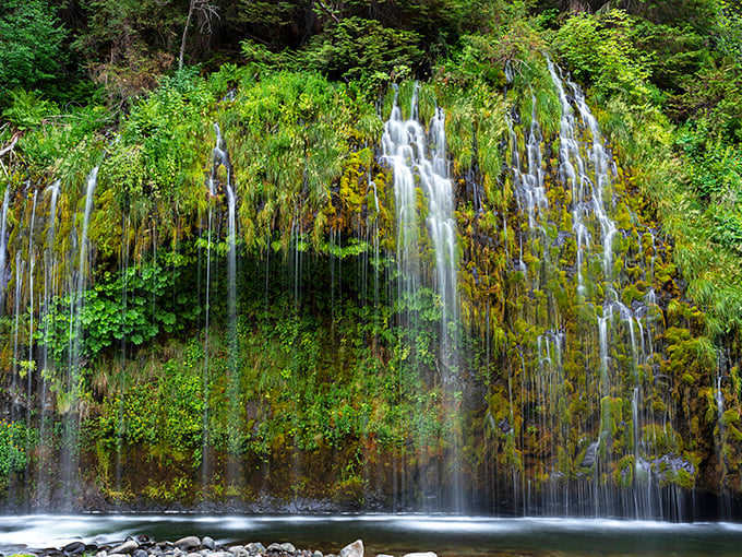 Mossbrae Falls: Northern California's hidden slice of paradise. It's like stumbling into Rivendell, minus the elves.
