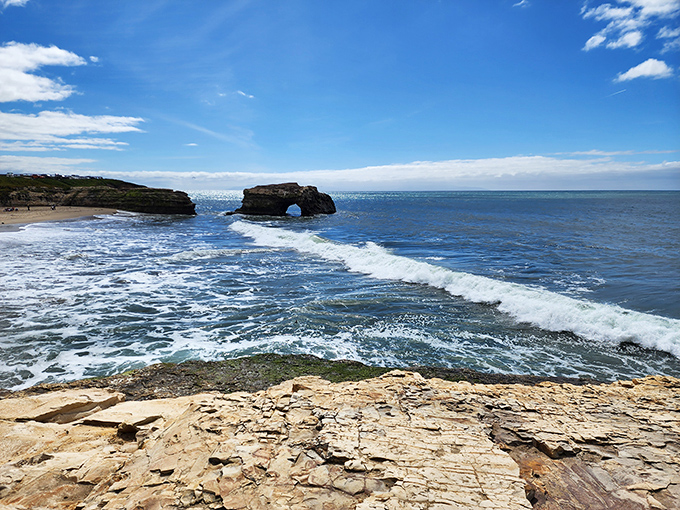 Natural Bridges State Beach: Where Mother Nature flexes her architectural muscles. This rock formation is the Golden Gate's more laid-back cousin.