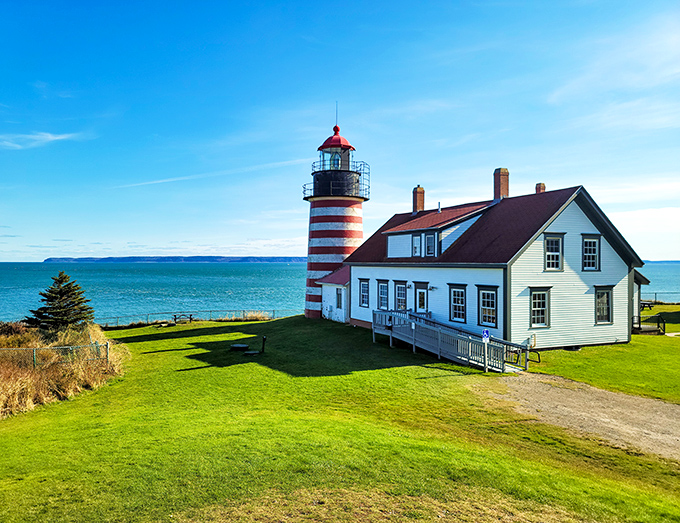 Quoddy Head's candy-striped sentinel: where lighthouse dreams and ocean views come in perfect harmony.