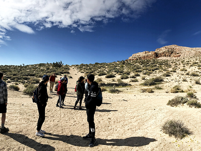 Red Cliffs Trail: Georgia O'Keeffe's playground, minus the cow skulls. Sunglasses recommended for maximum color appreciation.