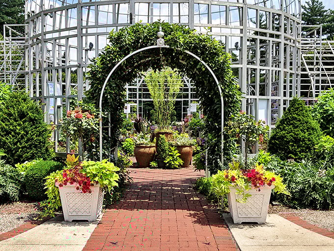 Taylor Conservatory's greenhouse: Where plants go for their spa day. Humidity set to 'tropical paradise.'