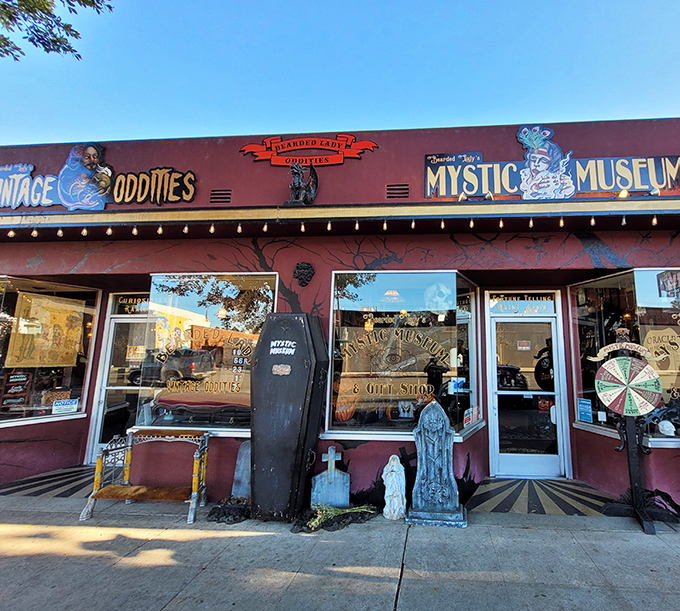 Spooky meets kooky at The Mystic Museum. It's like Halloween and a curiosity shop had a delightfully dark baby.