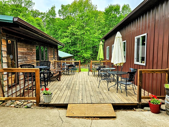 Wild Mountain's rustic retreat: Proof that you don't need fancy frills to make fantastic wine. Just add view and serve.