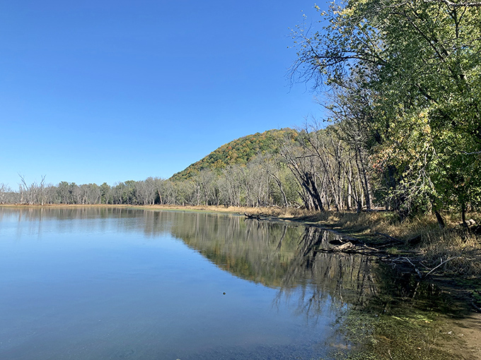 Stargazer's paradise: On a clear night at Wyalusing, the Milky Way puts on a light show that'll make you forget about Netflix.