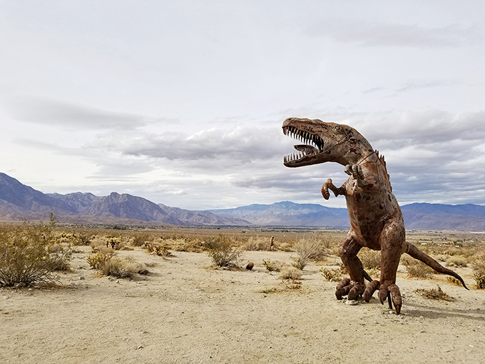 Desert blooms paint the landscape, transforming barren sands into nature's own Impressionist masterpiece.