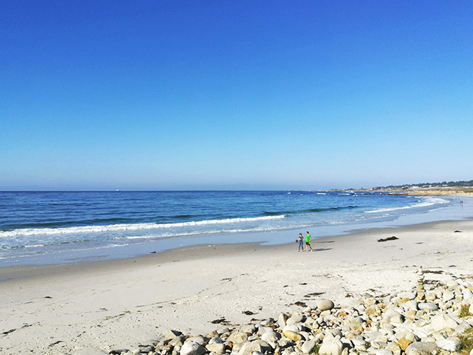 Cypress-lined shores at Asilomar beckon beachcombers. It's like the forest decided to have a beach day &ndash; pine trees and all!