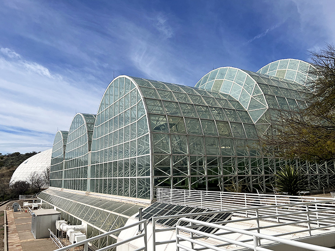 Part greenhouse, part time machine. Step inside and you might just forget which planet you're on.