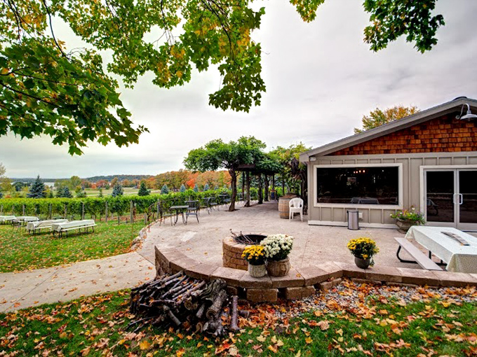 Pawsitively perfect wine tasting at Bowers Harbor. Bring your furry friend along – it's like a doggy playdate, but with better refreshments!