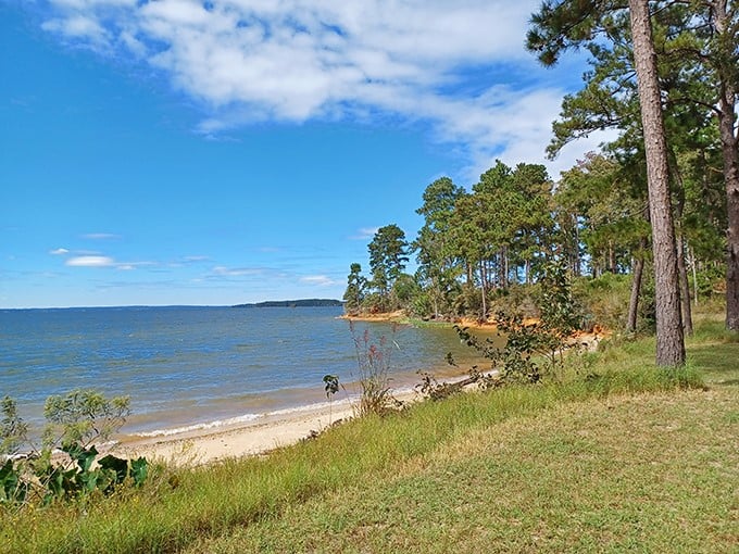 The lake stretches out like an inland sea, bordered by pristine sands. George T. Bagby's beach: the closest you'll get to an ocean view in southwest Georgia.