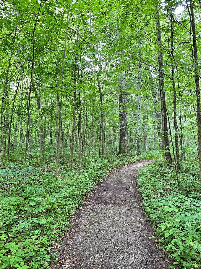Spring at Goll Woods: Mother Nature's own flower show. It's more colorful than your aunt's favorite sweater, and twice as enchanting.