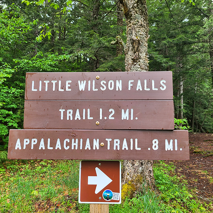 Who says you need to be big to make a splash? Little Wilson Falls is the pocket-sized wonder of Maine's waterfall world.