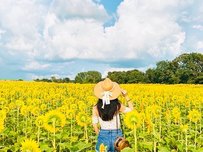Sunflower fields at Matthiessen: Nature's own ray of sunshine. It's like walking through a Van Gogh painting, minus the ear-related drama.