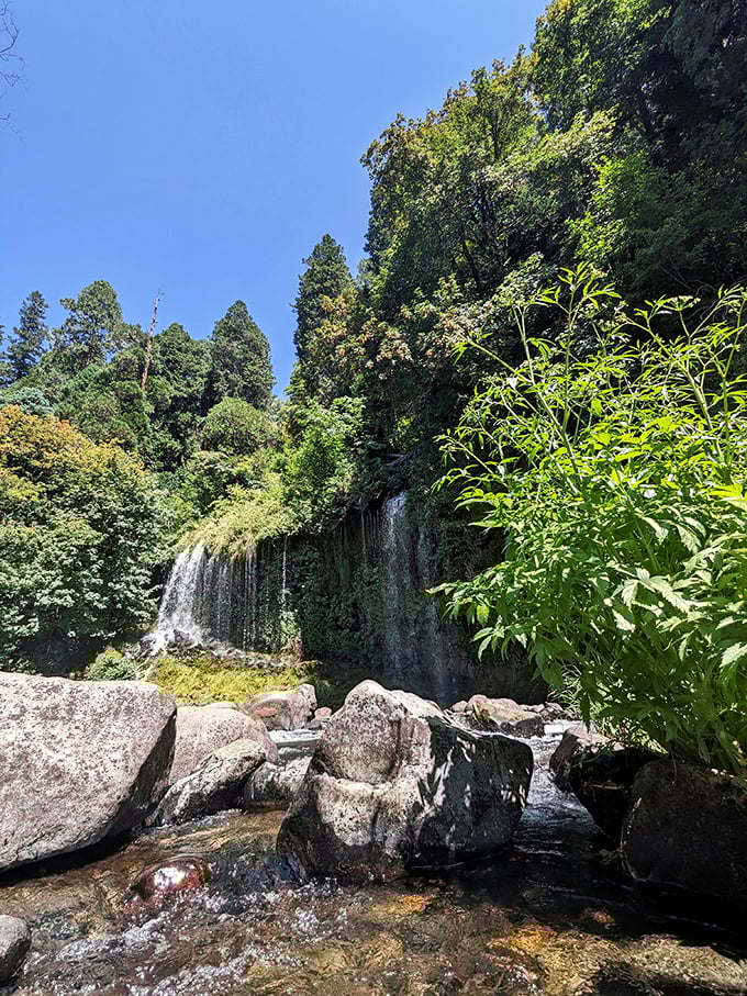 Wall of water meets wall of green. Mossbrae Falls is Mother Nature's ultimate living wall art installation.