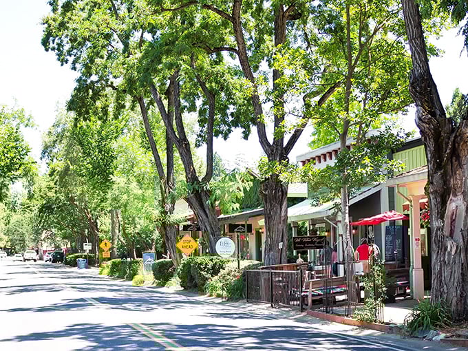 Murphys' Main Street: Where every storefront looks like it could be hiding gold, but it's actually hiding some fantastic wine.