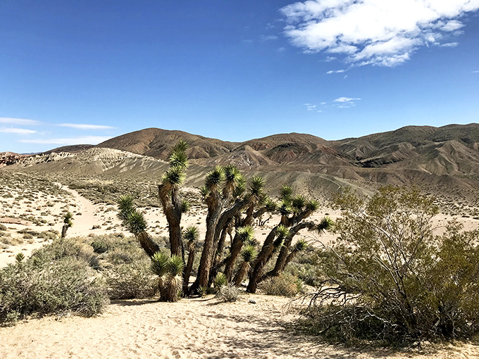 Mars on Earth, no spacecraft required. Just don't expect to see Marvin the Martian around the next bend.