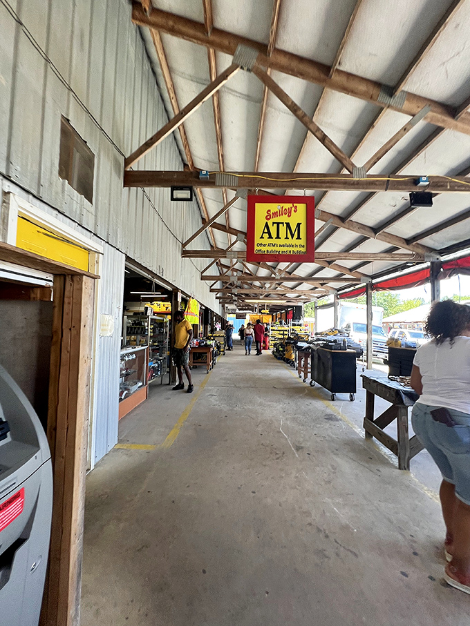 "Sun's out, treasures out! Smiley's outdoor setup is a paradise for those who love the thrill of the hunt."