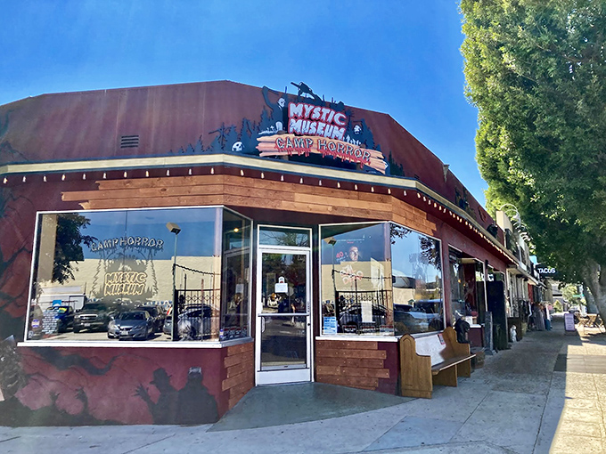 Unleash your inner Morticia! This occult-themed odditorium is a treasure trove of the creepy and curious.